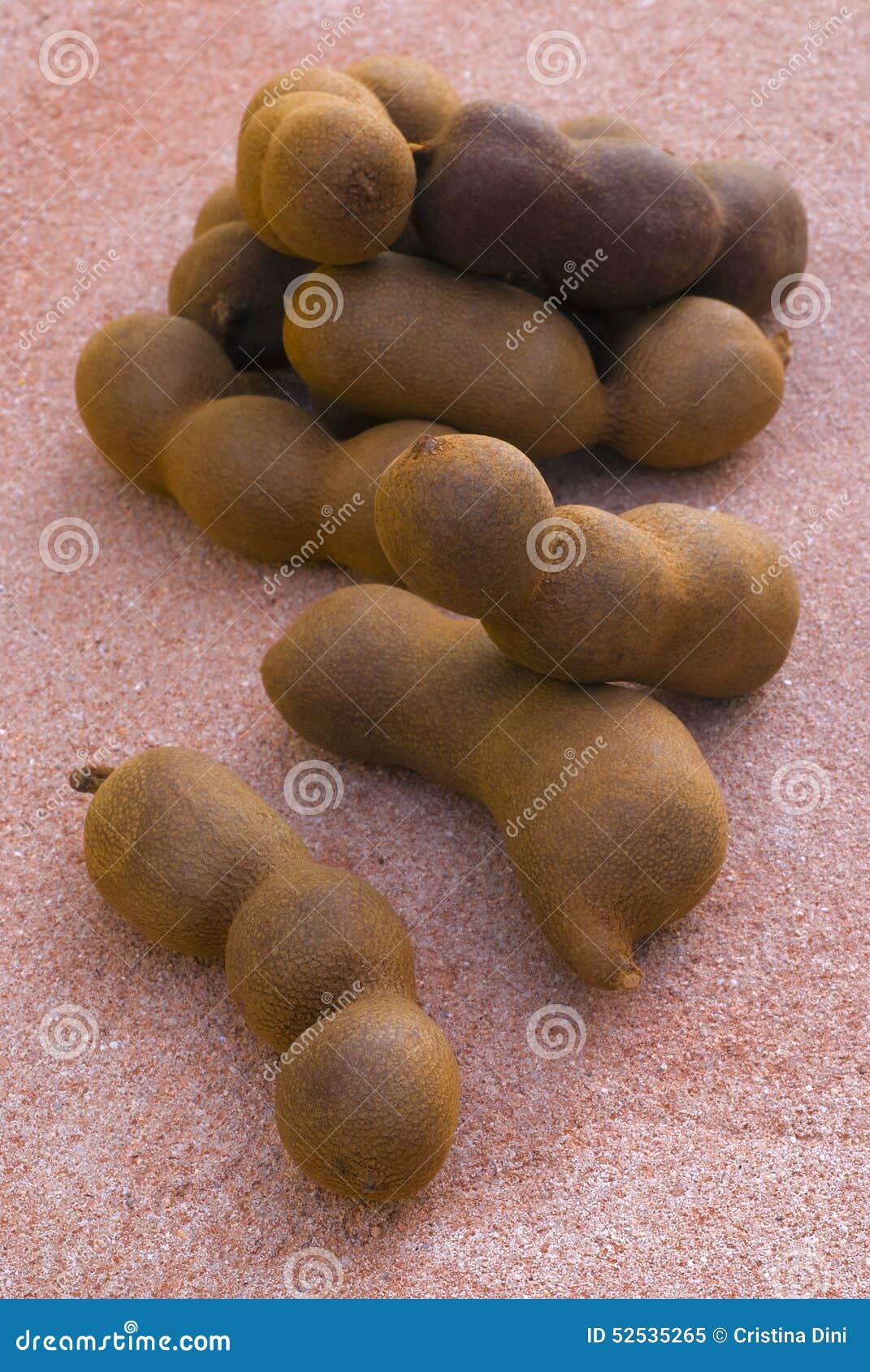 Tamarind Pods (Tamarindus Indica) Stock Image - Image of healthy ...