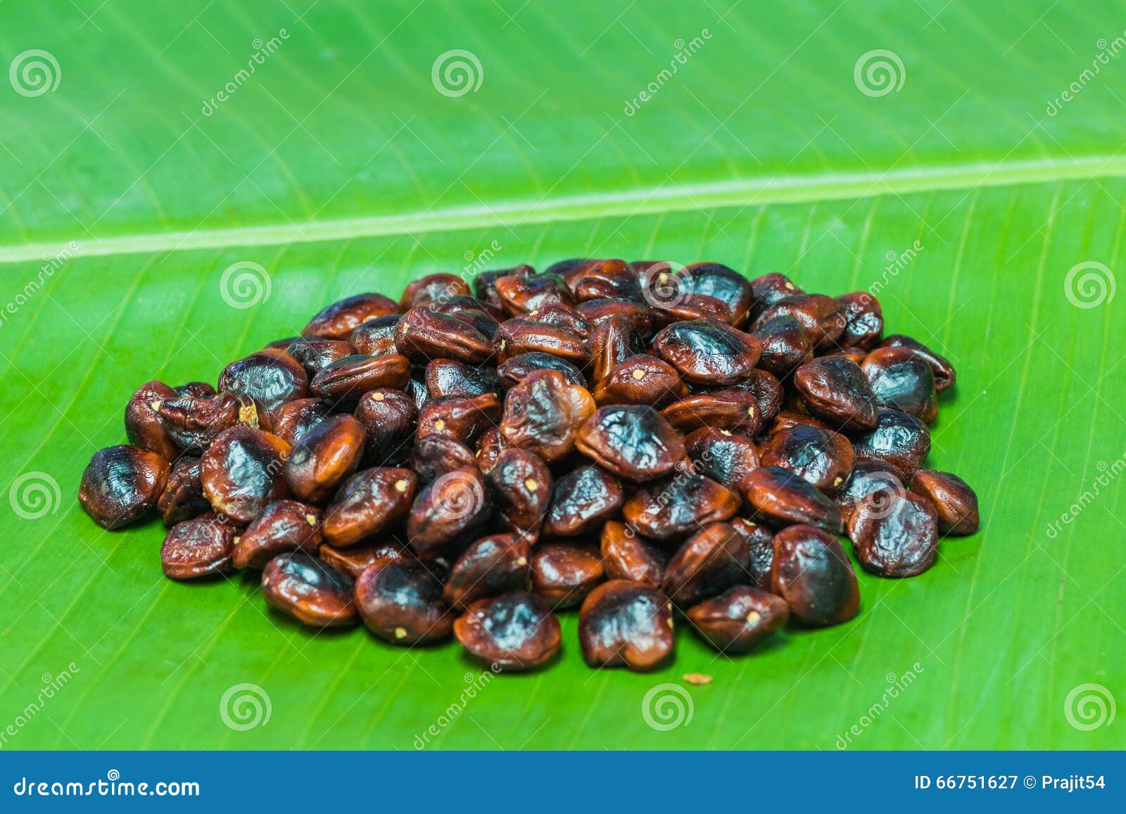 Tamarind Seed Isolated On White Background Images | CartoonDealer.com ...
