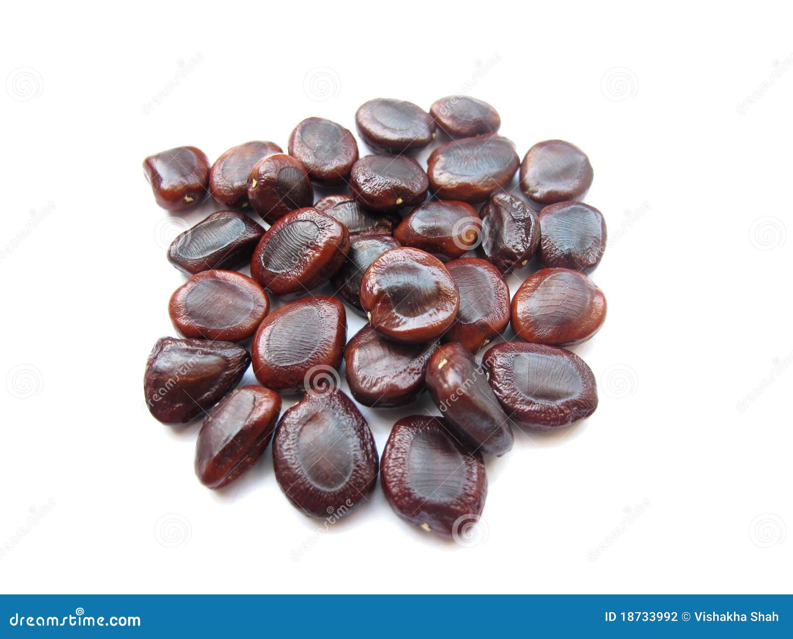 Tamarind Seeds Stock Photography - Image: 18733992