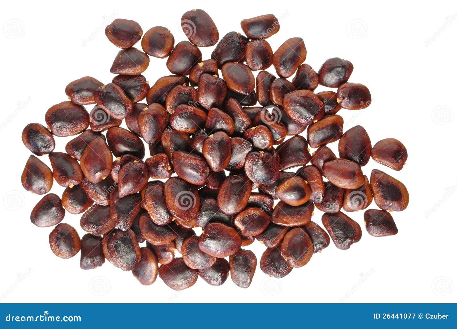 Tamarind seeds stock image. Image of pile, background - 26441077