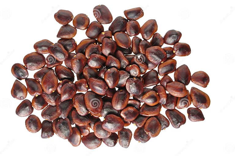Tamarind seeds stock image. Image of pile, background - 26441077