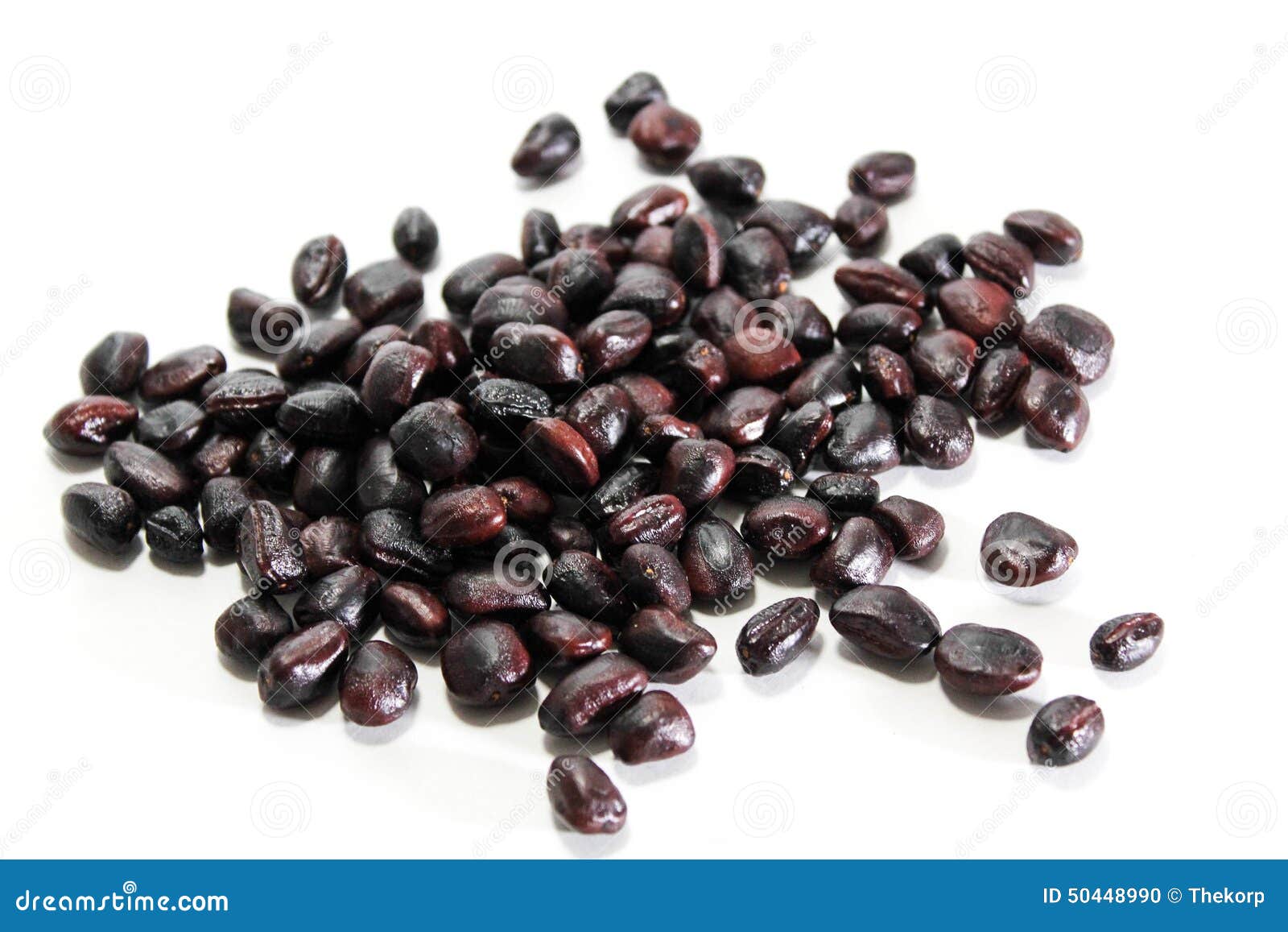 Tamarind seeds stock photo. Image of nature, tamarind - 50448990