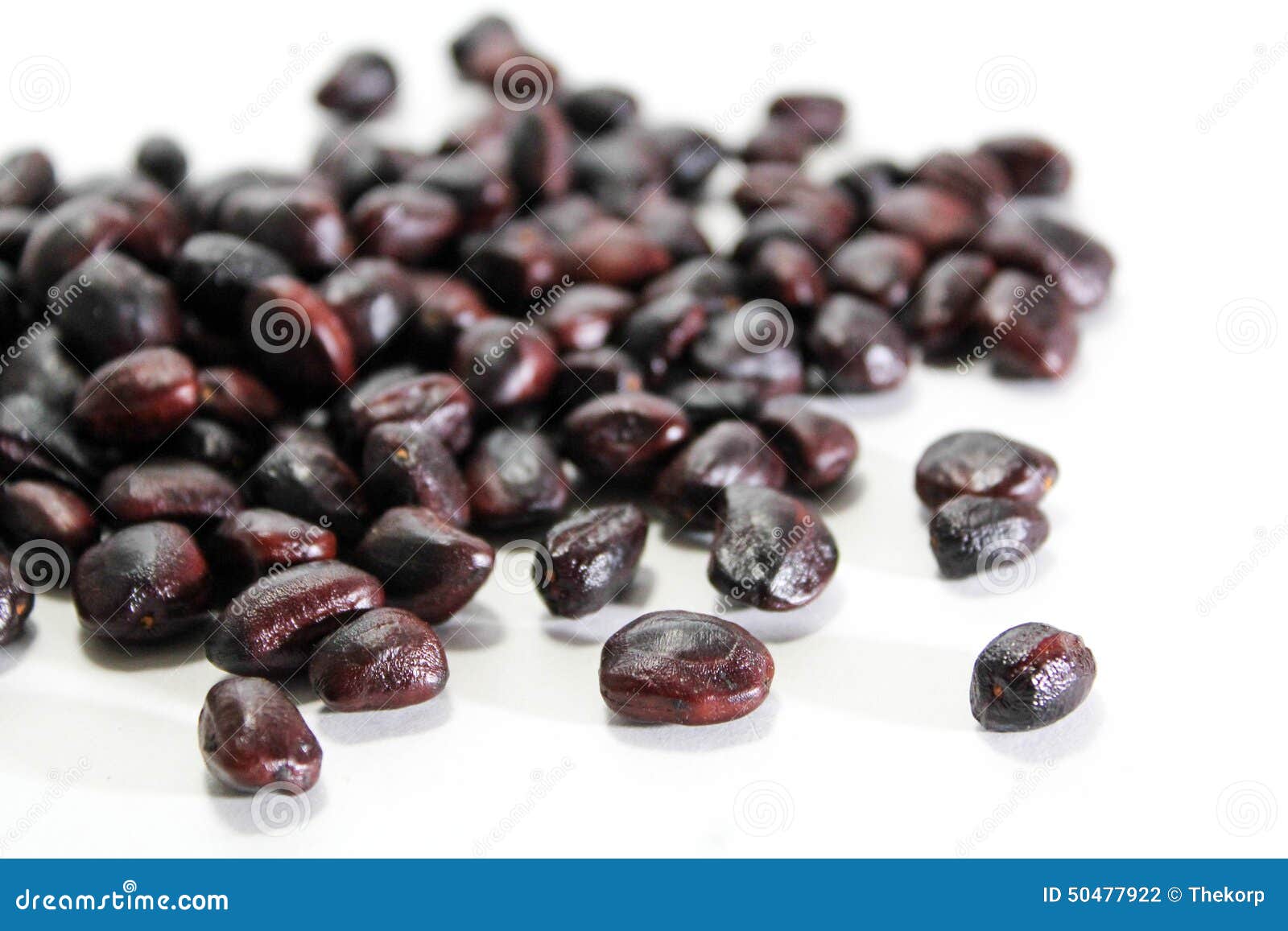 Tamarind seeds stock photo. Image of nature, tamarind - 50477922