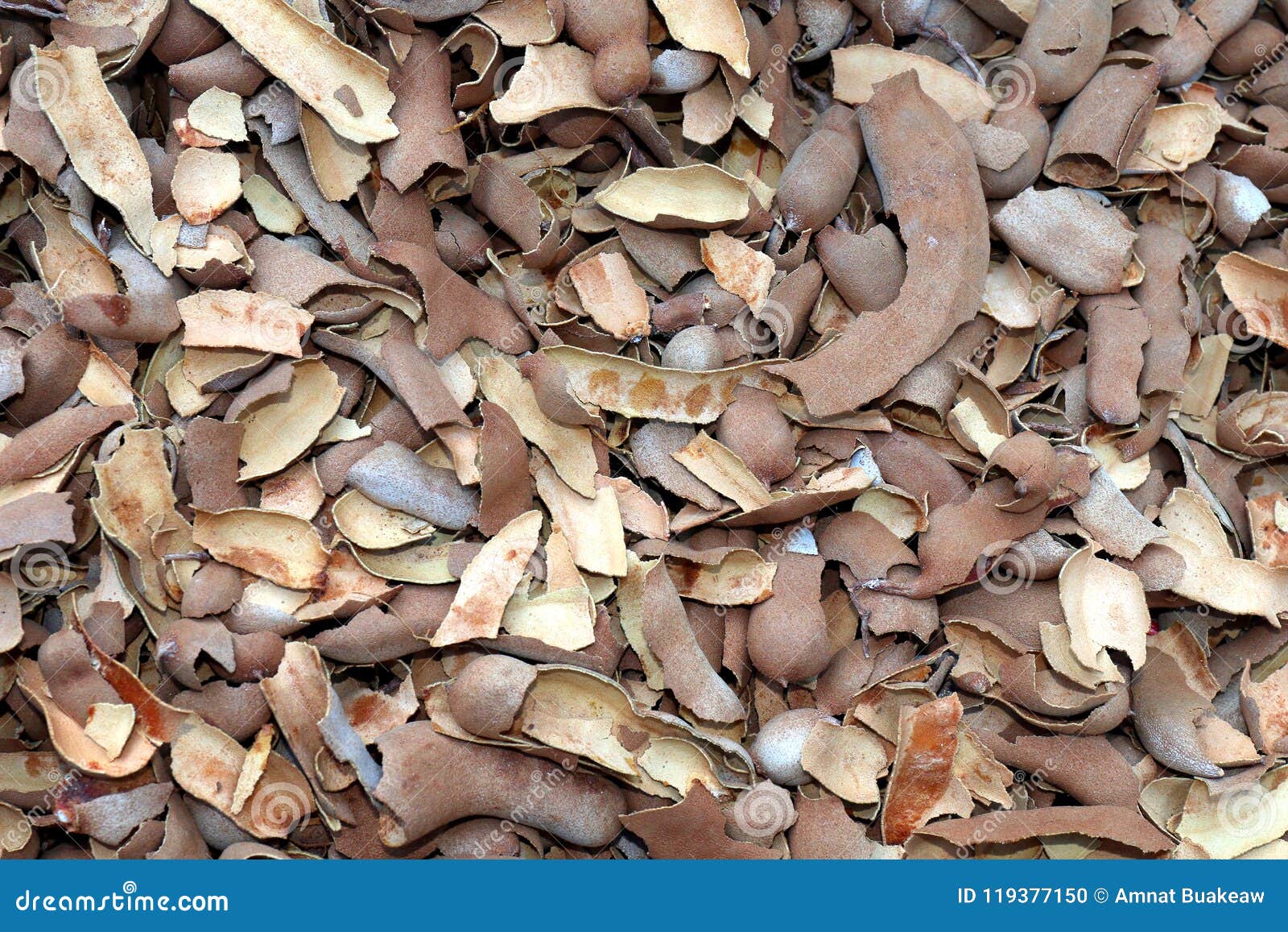 Tamarind Heap Many, Tamarind For Background, Pile Of Ripe Tamarind ...