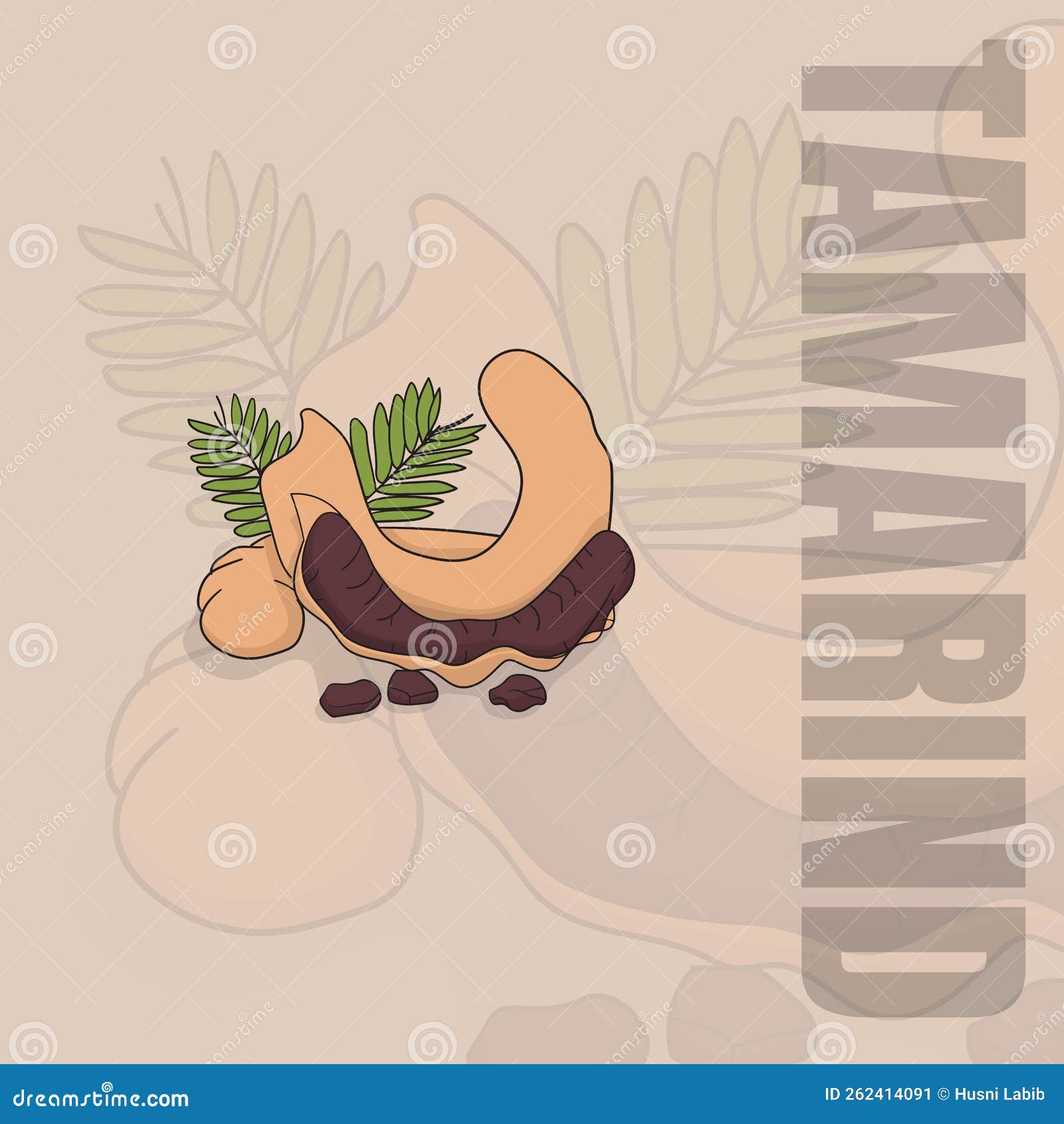 Tamarind Vector Illustration Design with Tamarind Leaf for Restaurant ...