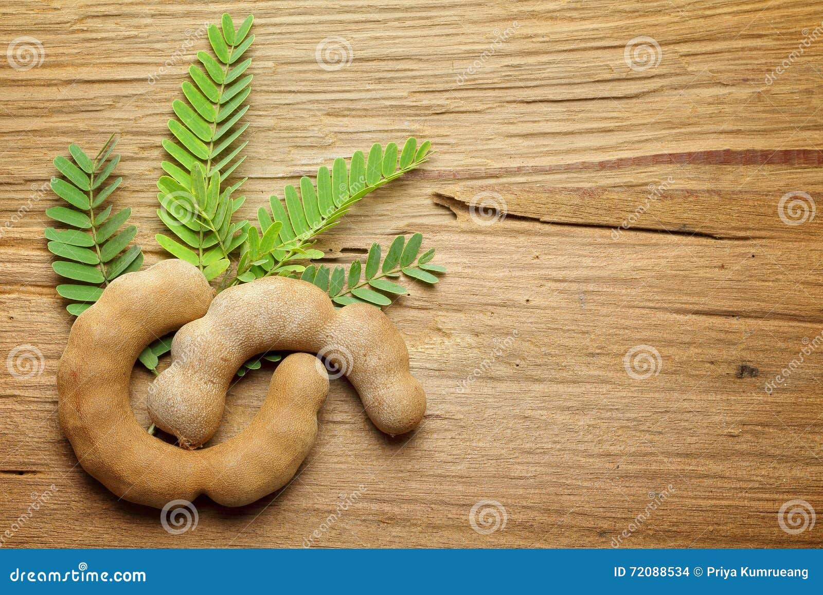 The Tamarind on the Wooden Floor Stock Photo - Image of seed, dessert ...