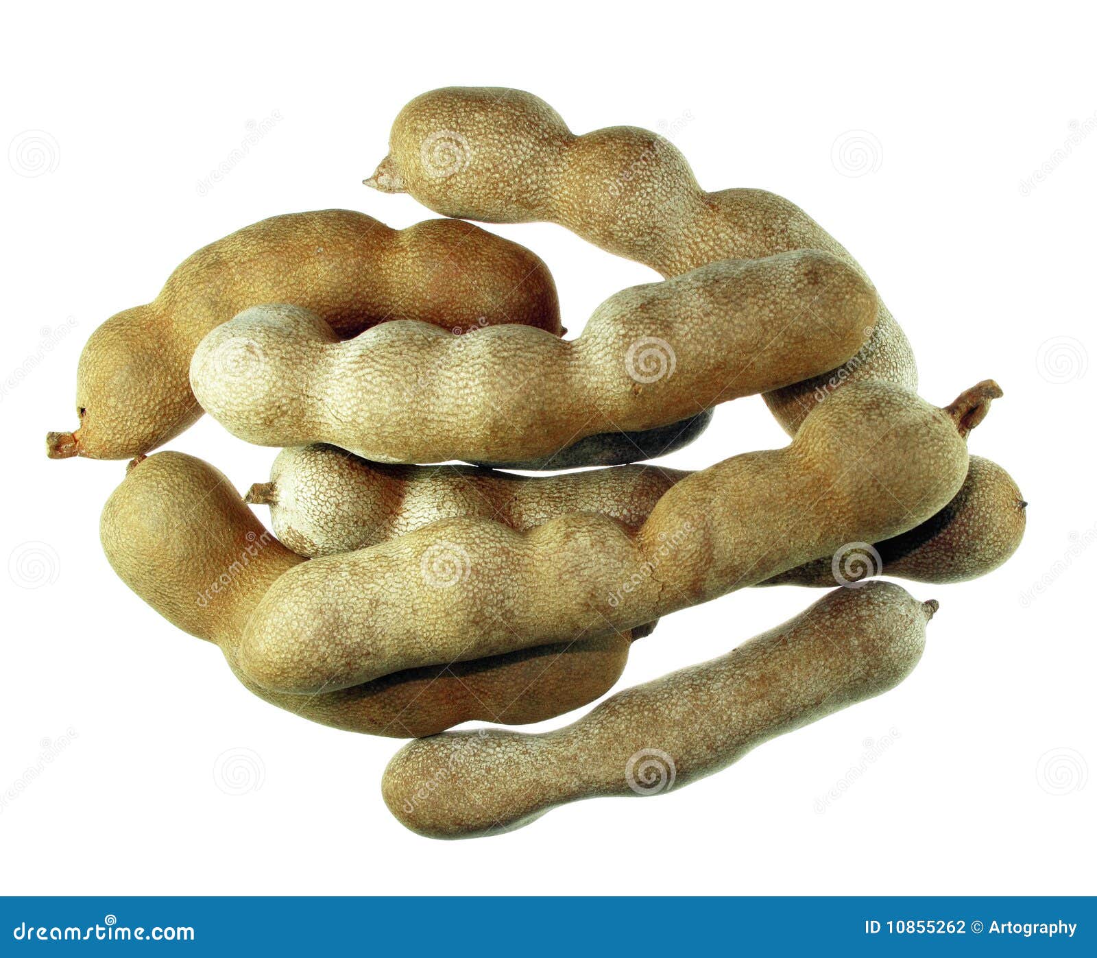 Tamarinde stockfoto. Bild von exotisch, stapel, gruppe - 10855262
