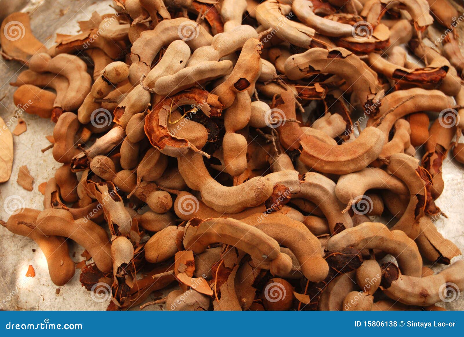 Tamarinde stock foto. Image of geïsoleerd, pulp, tropisch - 15806138