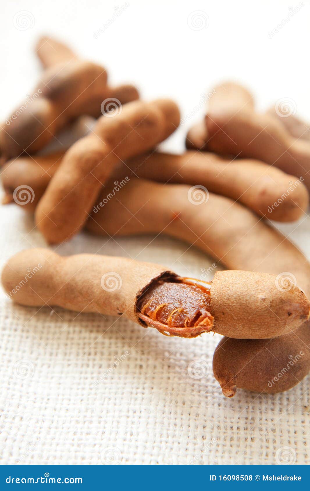 Tamarinde stock foto. Image of bruin, peulvrucht, tamarinde - 16098508