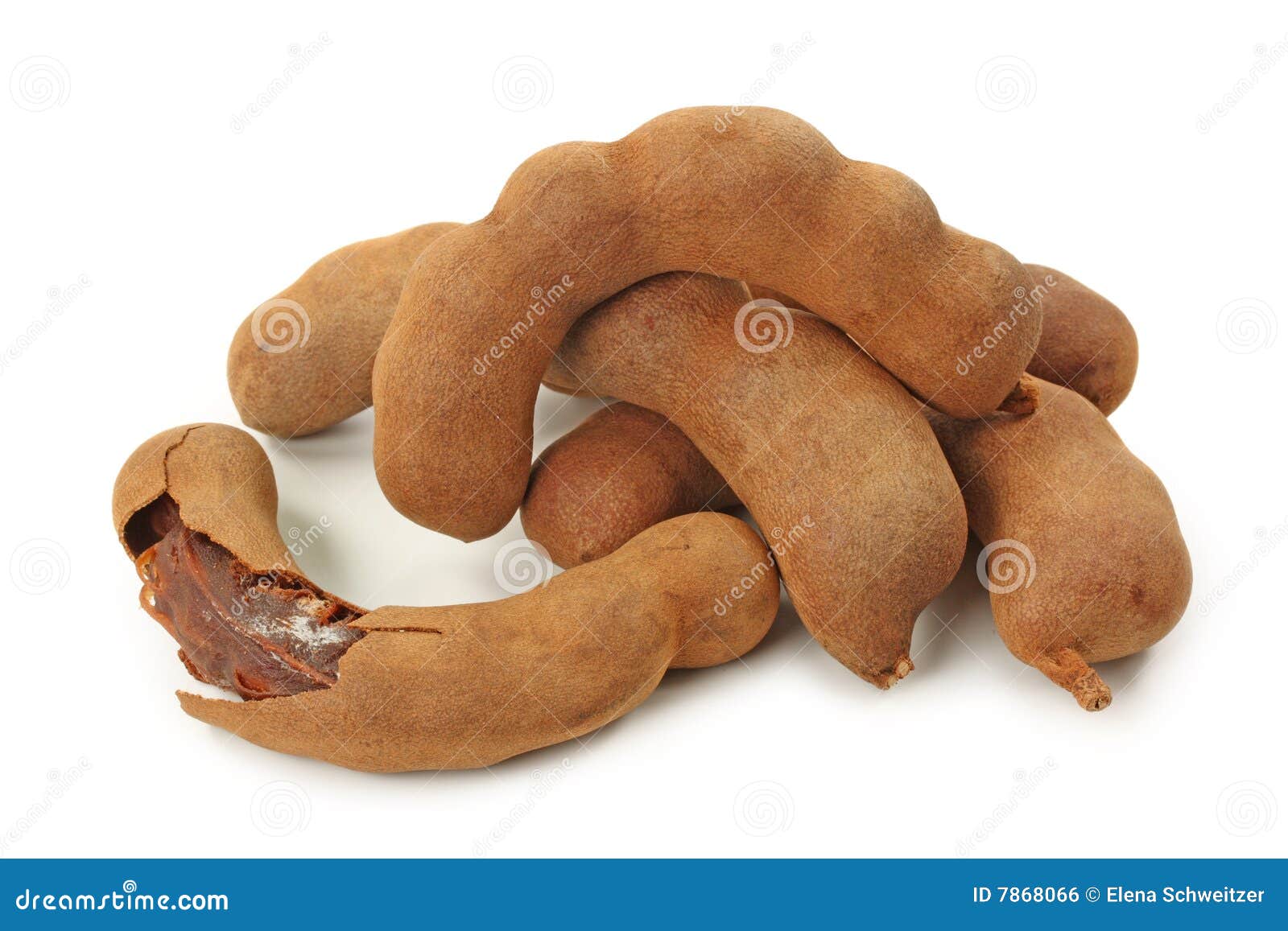 Tamarinde stockfoto. Bild von frisch, reif, getrennt, tropisch - 7868066