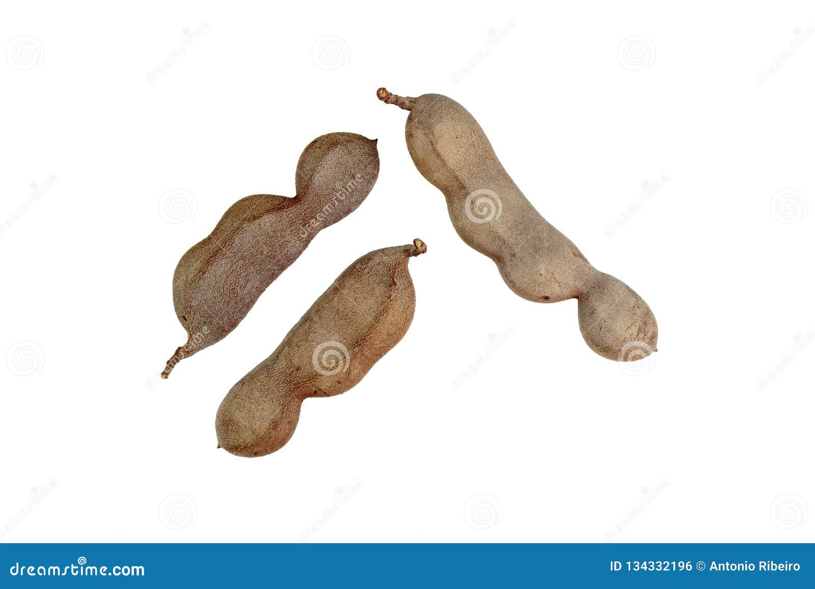 Tamarinde Peul-als Ruw Fruit Stock Foto - Image of vrucht, naturalness ...