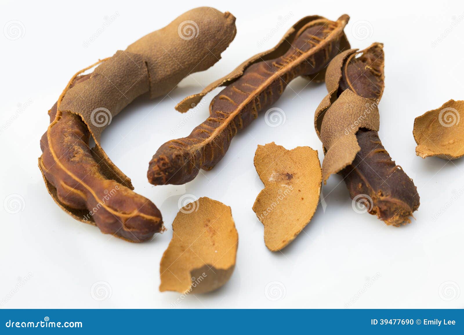 Tamarinden-Samen stockfoto. Bild von orange, runzlig - 39477690