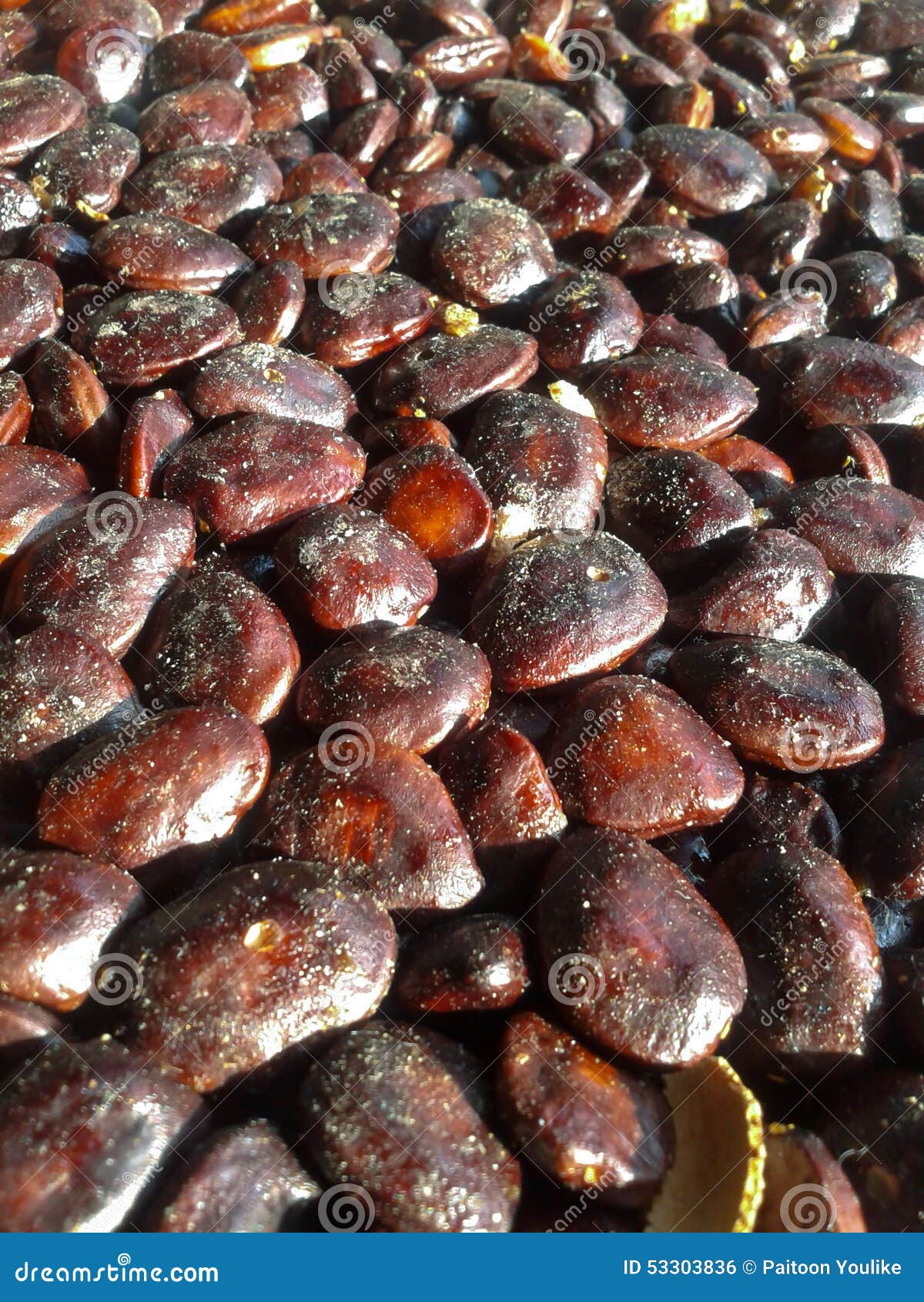 Tamarindo Mais Vertical Da Semente Foto de Stock - Imagem de vegetal ...