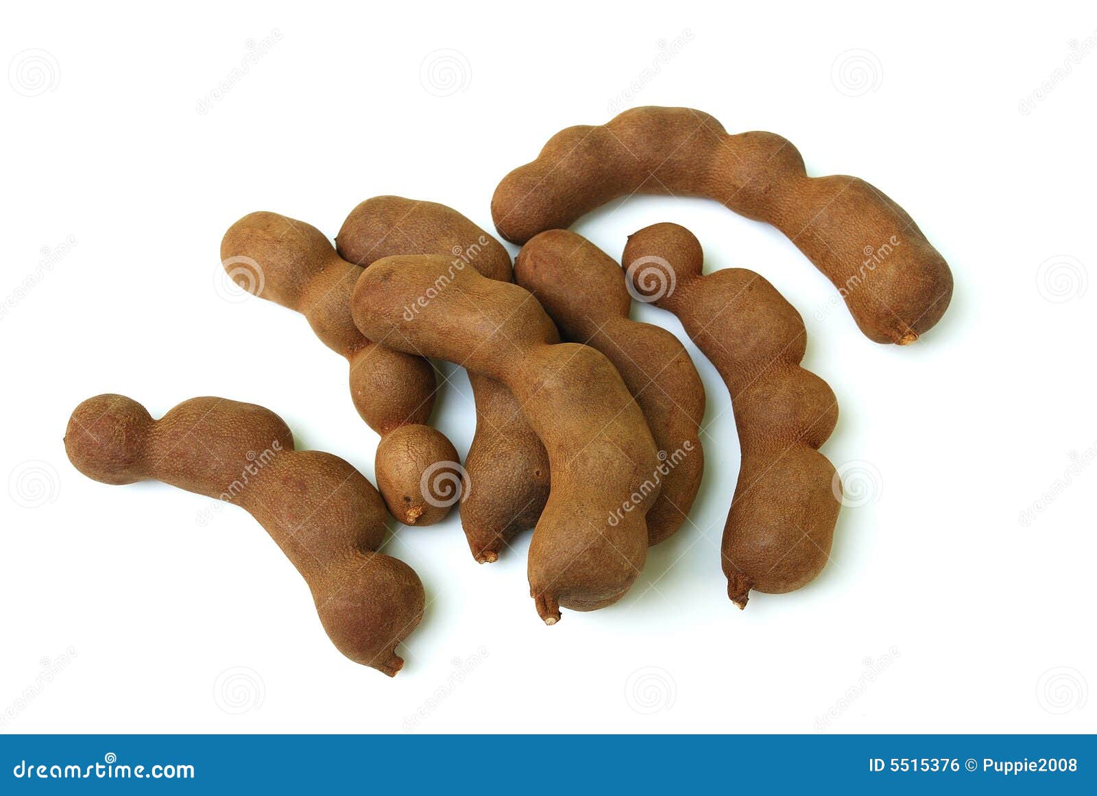 348 Tamar Tree Stock Photos - Free & Royalty-Free Stock Photos from ...