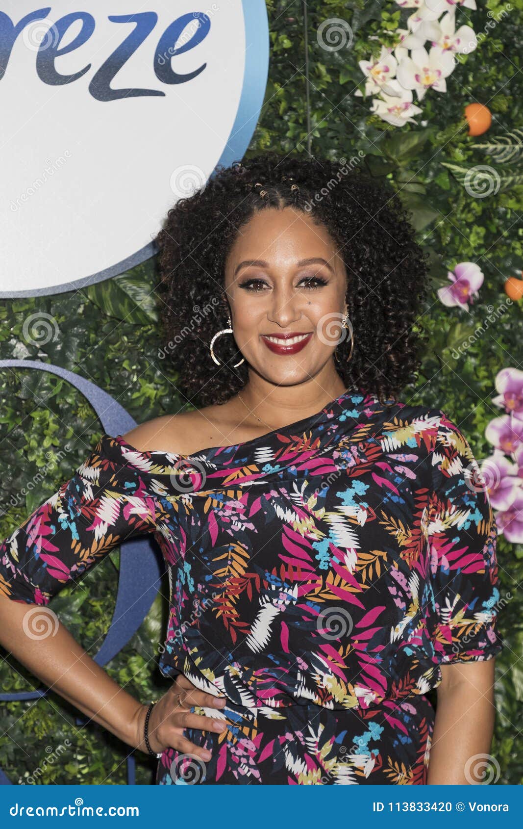 Tamera Mowry Housley Imagen Editorial Imagen De Aire 113833420