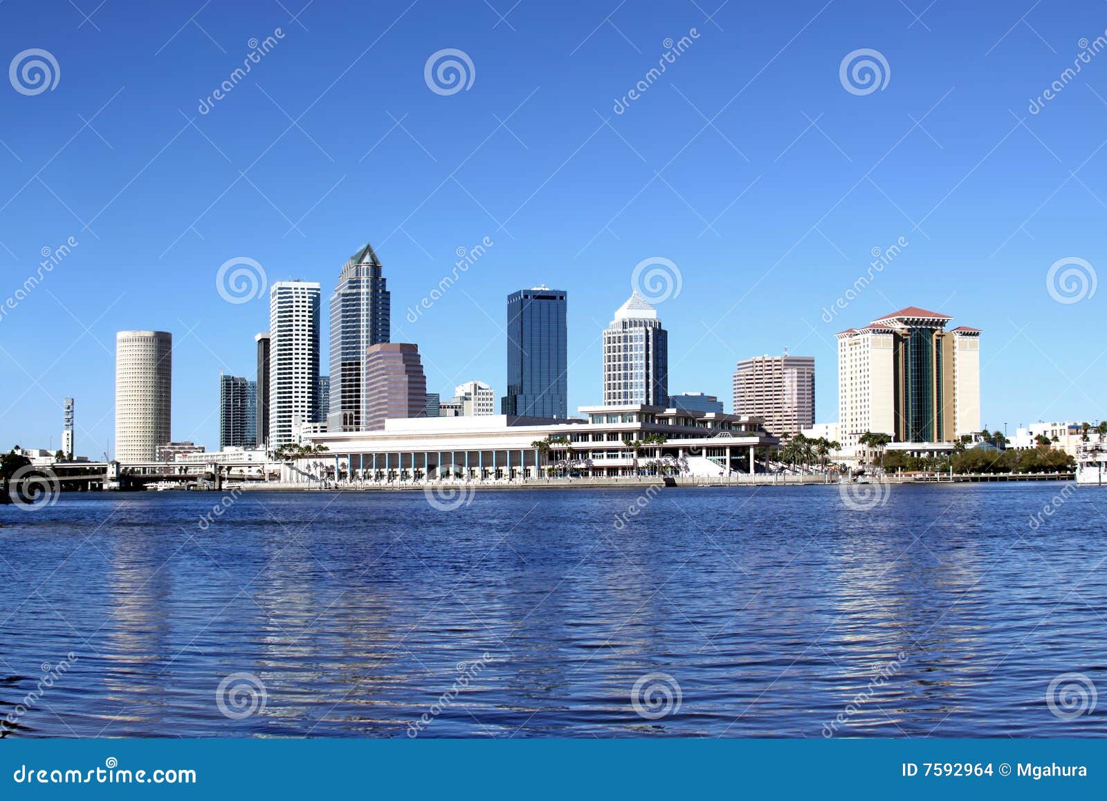 Tampa City Skyline with River Stock Photo - Image of exterior, multi ...