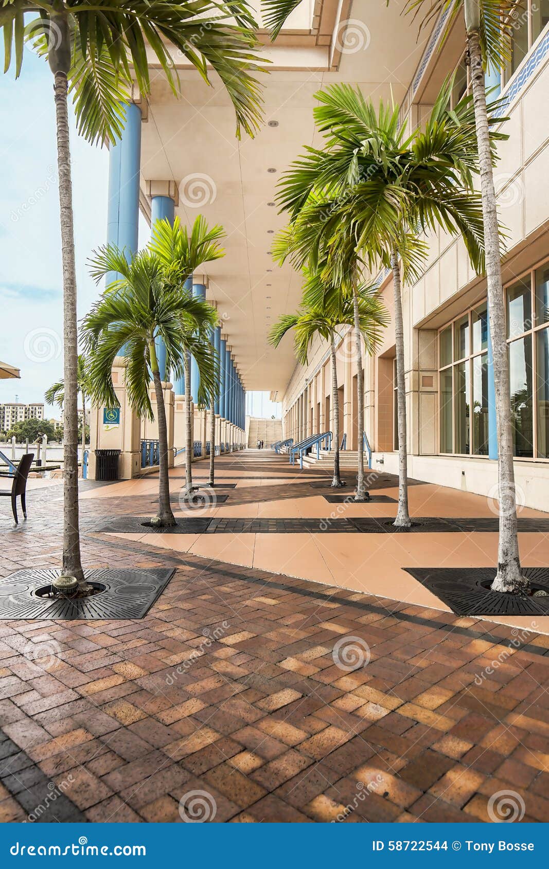 Tampa Convention Center editorial stock image. Image of buildings ...