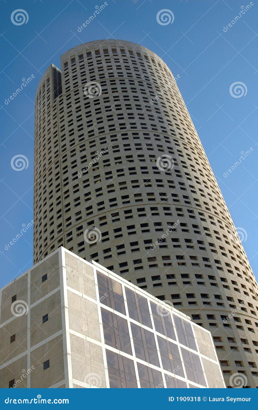 Tampa Du Centre, Construction Ronde Photo stock - Image du floride ...