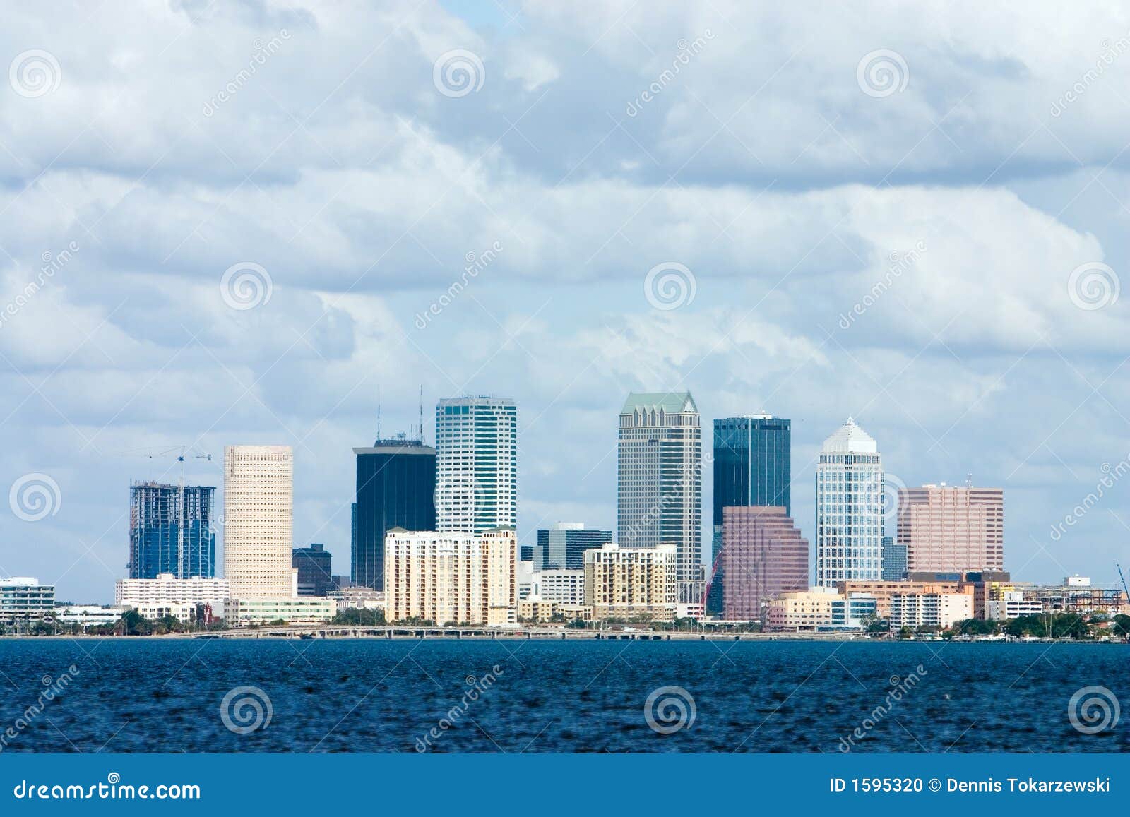 Tampa Skyline Bay View stock photo. Image of tropical - 1595320