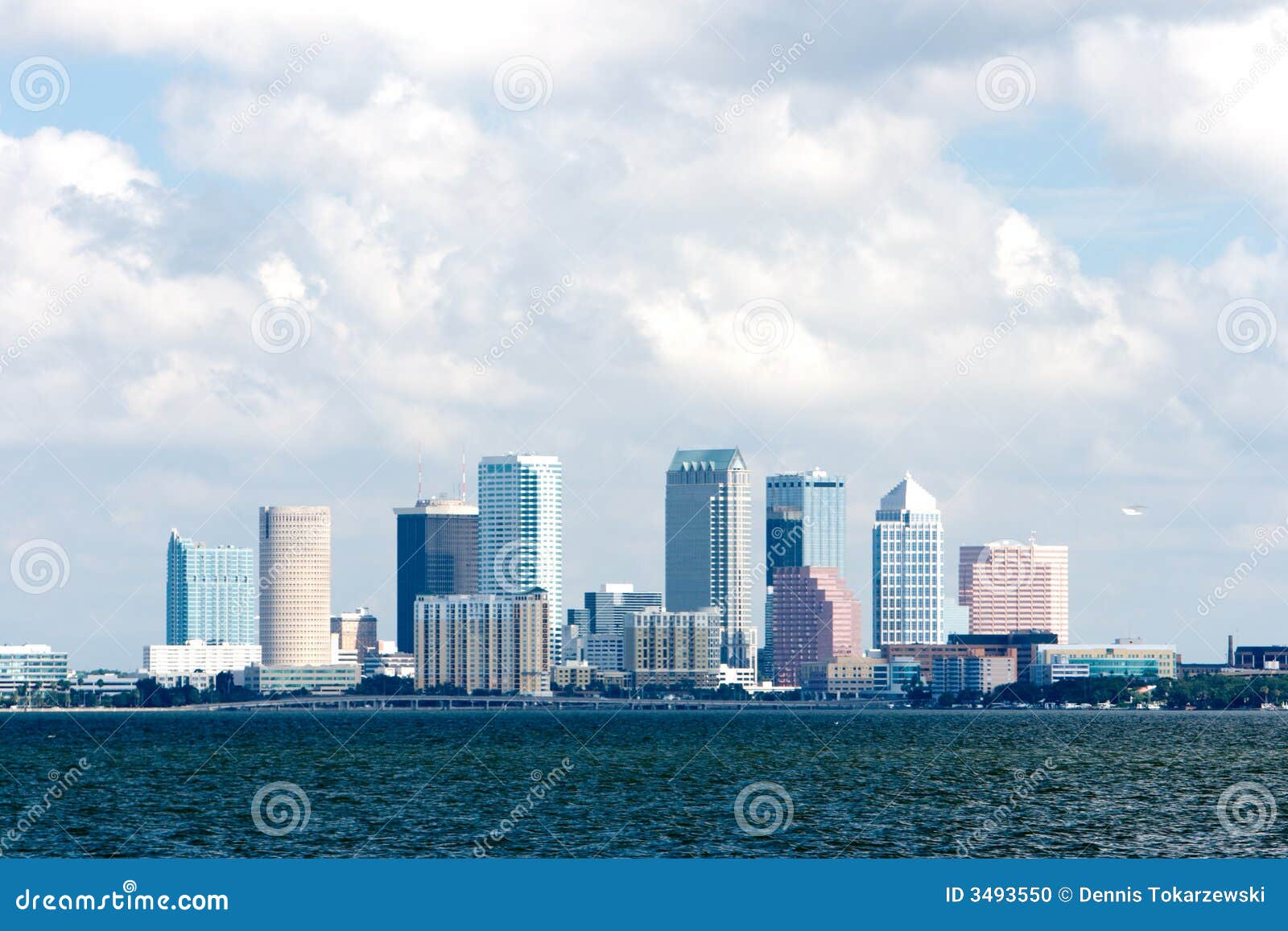 Tampa Skyline Bay View stock photo. Image of building - 3493550