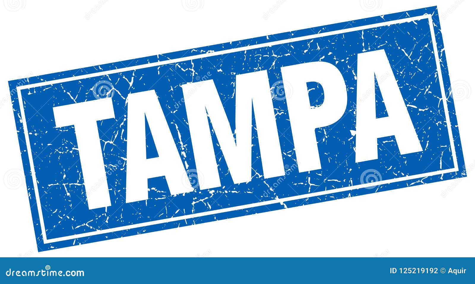 Tampa stamp stock vector. Illustration of white, tampa - 125219192