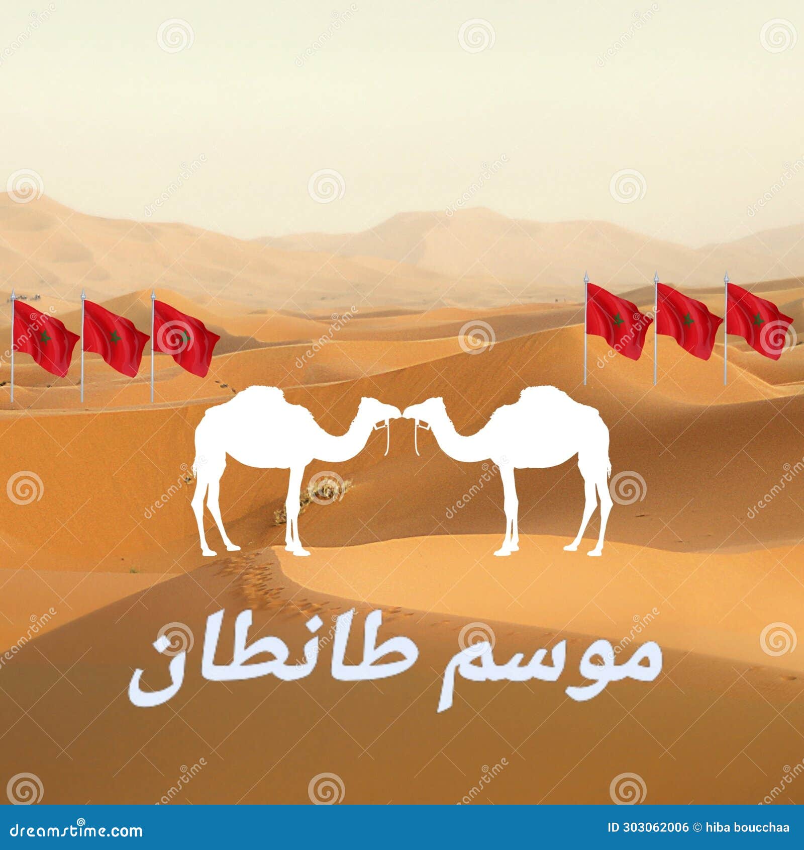 Tan-Tan Festival in South Morocco. Camels and Moroccan Flag in Sahara ...