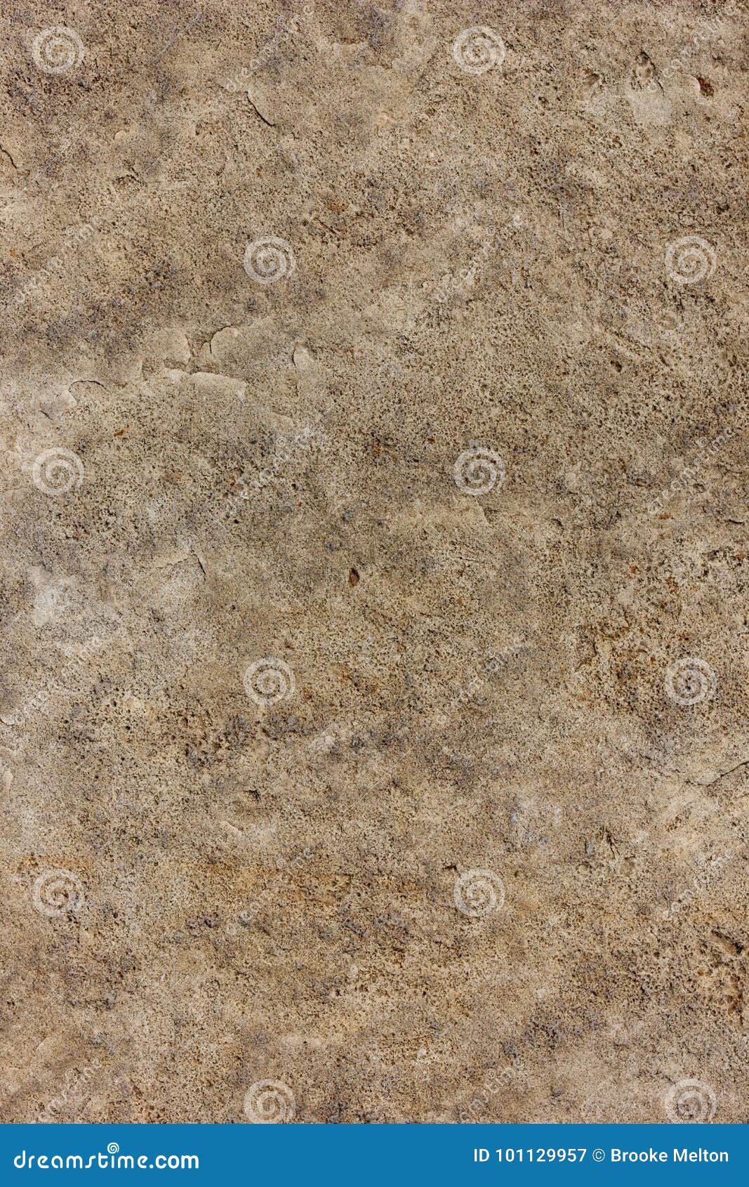 Tan and Black Concrete Macro Background Stock Image - Image of plaster ...