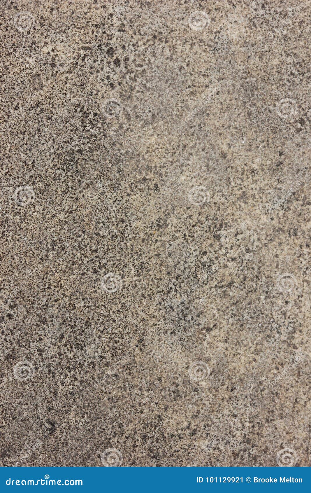 Tan and Black Concrete Macro Background Stock Image - Image of wall ...