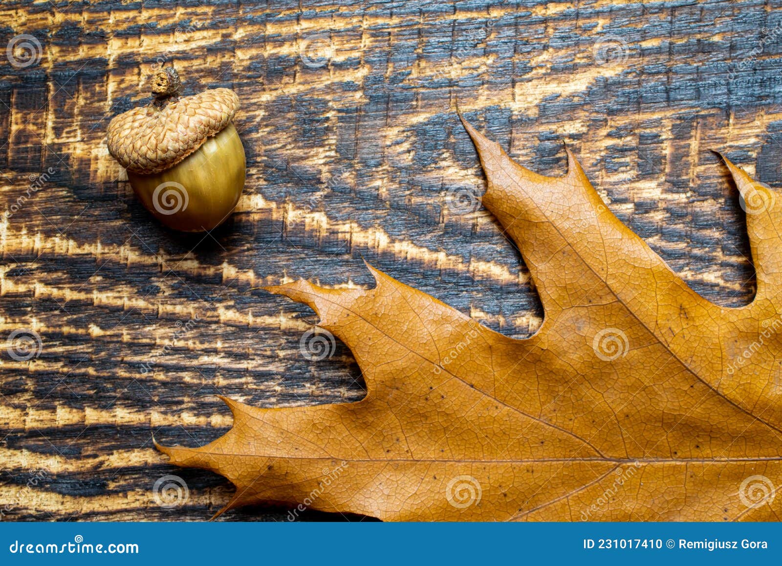 Tan Board, Autumn Background, Wood Grain Stock Photo - Image of natural ...