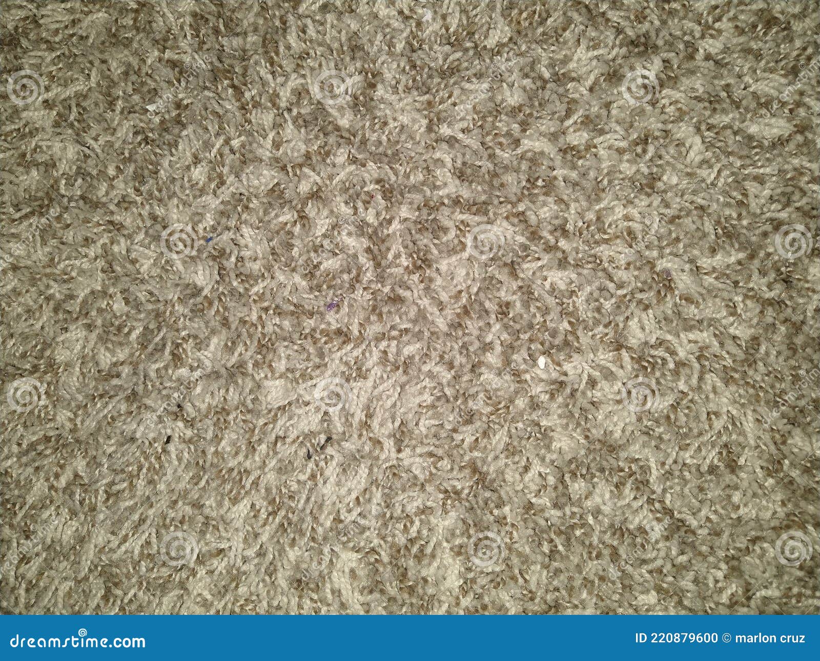 Tan carpet pattern stock photo. Image of wall, tile - 220879600