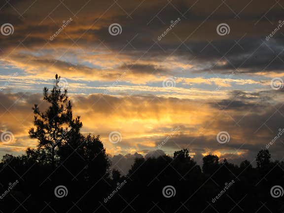 Tan clouds one stock photo. Image of sunlight, nature - 246559636