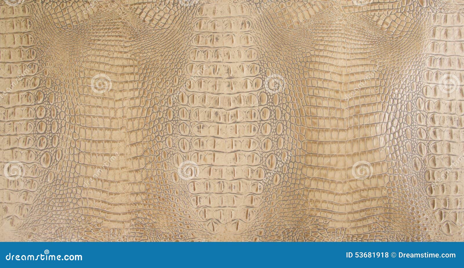 Tan Colored Embossed Gator Back Leather Texture Stock Photo - Image of ...