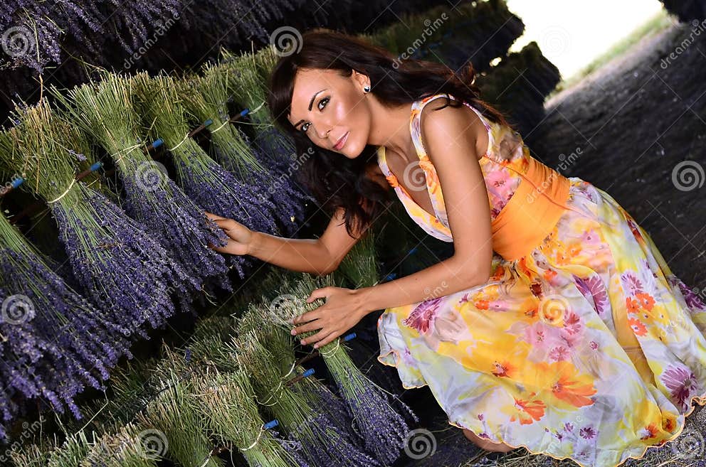 ¡Tan Muchos Ramos De La Lavanda! Foto de archivo - Imagen de manera, cocote: 33217758