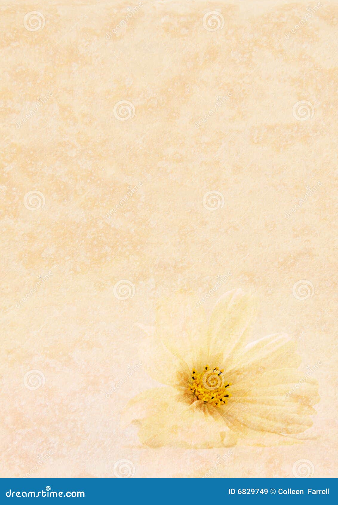 Tan Flower Stock Illustrations – 1,692 Tan Flower Stock Illustrations ...