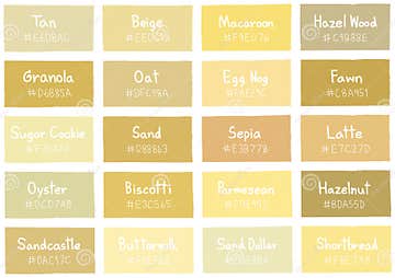 Tan Tone Color Shade Background with Code and Name Stock Vector ...