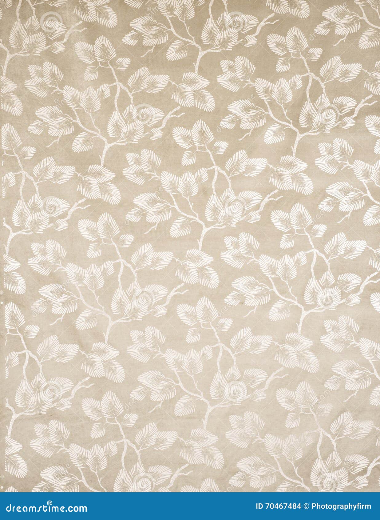 Tan Wallpaper with Leaves on Branches Pattern Swatch Stock Photo ...