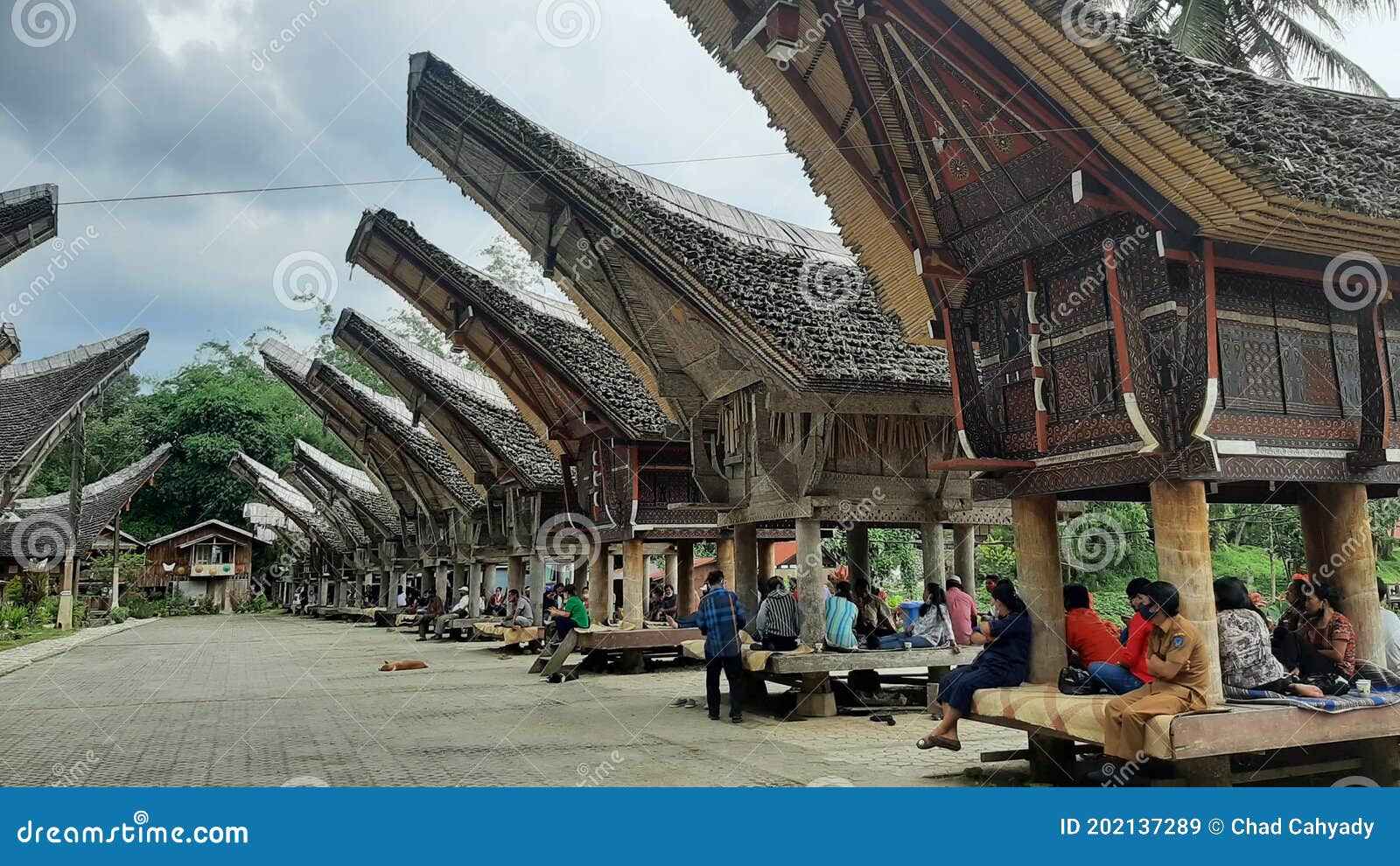 Tana Toraja Land editorial stock image. Image of land - 202137289