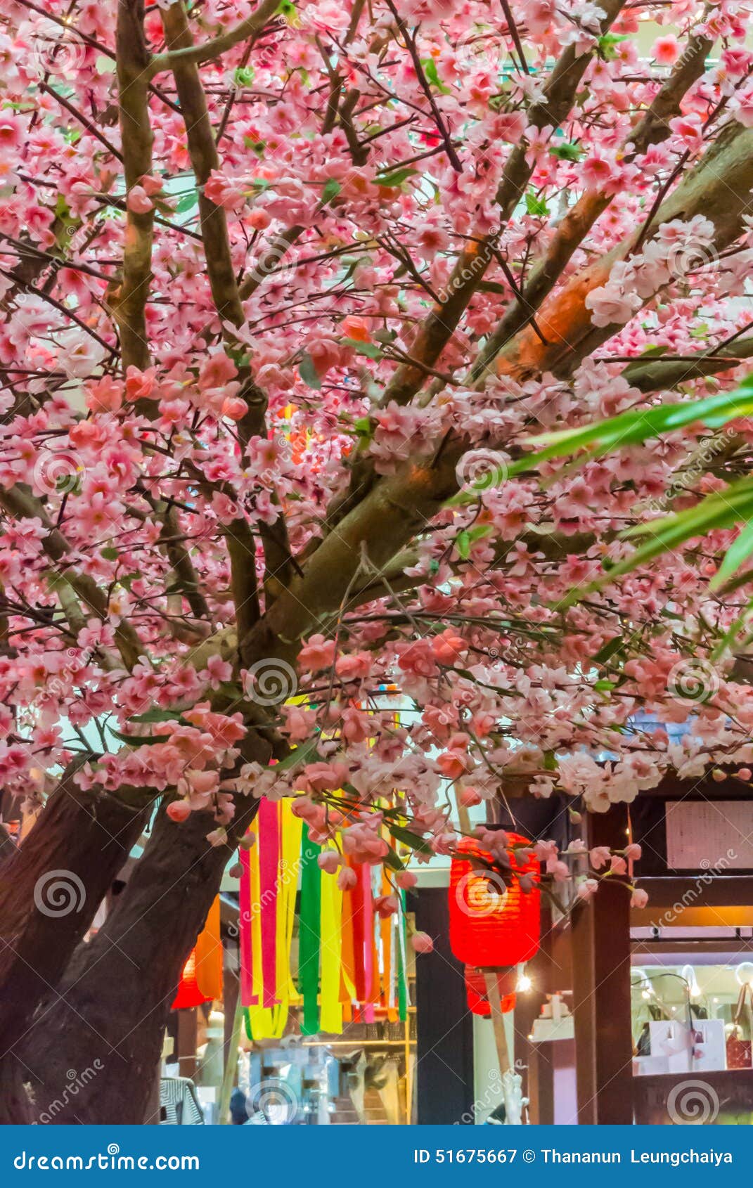Tanabata Festival. stock image. Image of holiday, chinese - 51675667