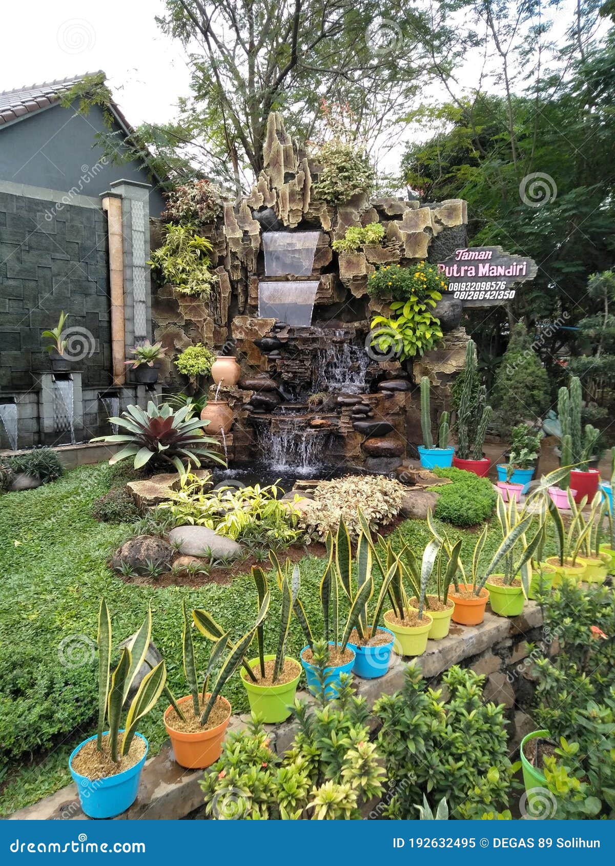 Tanaman Bunga Air Mancur. Perpaduan Bunga Dan Air Mancur Editorial ...