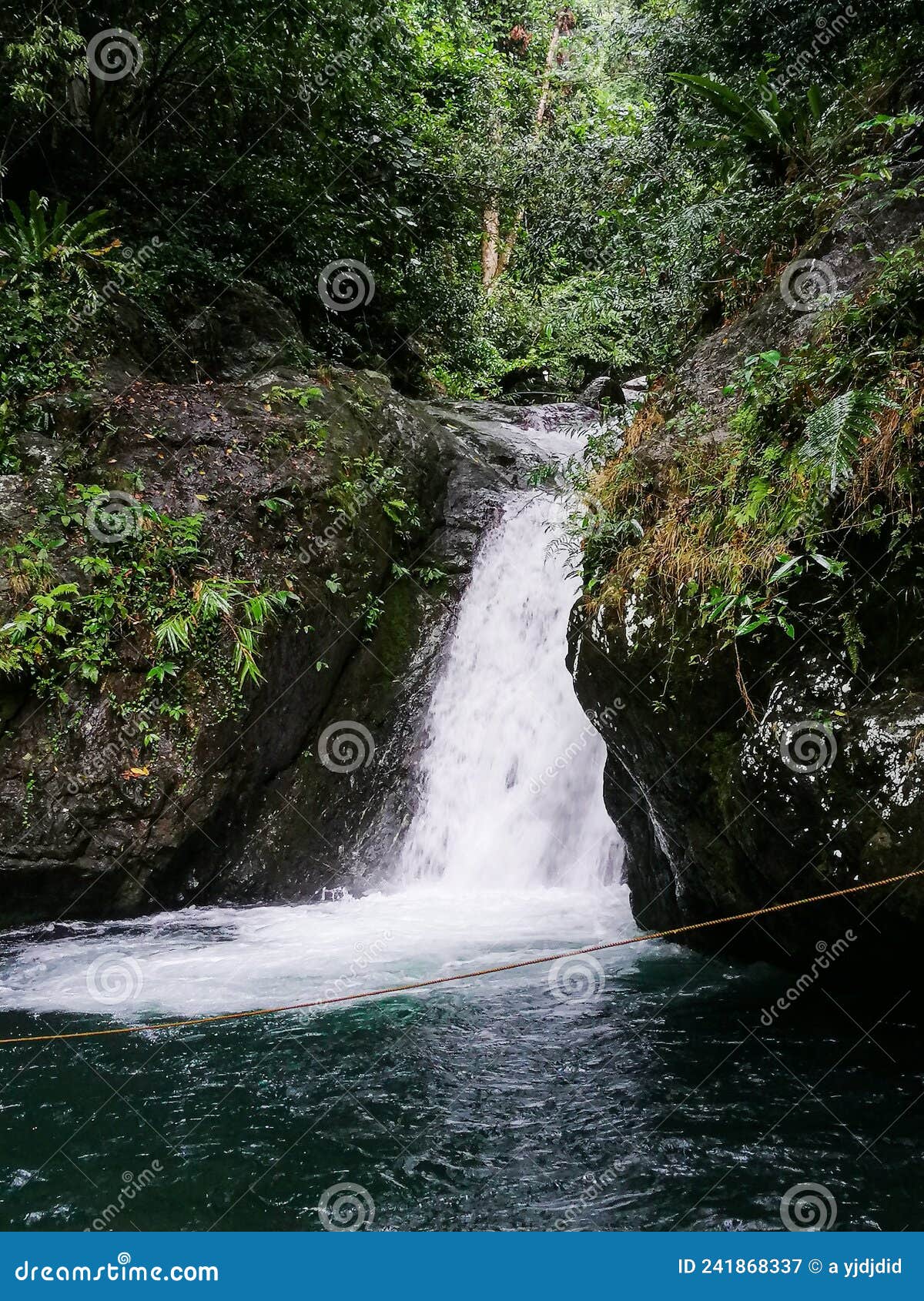 Tanawan Falls in Dingalan Aurora Stock Image - Image of jungle ...