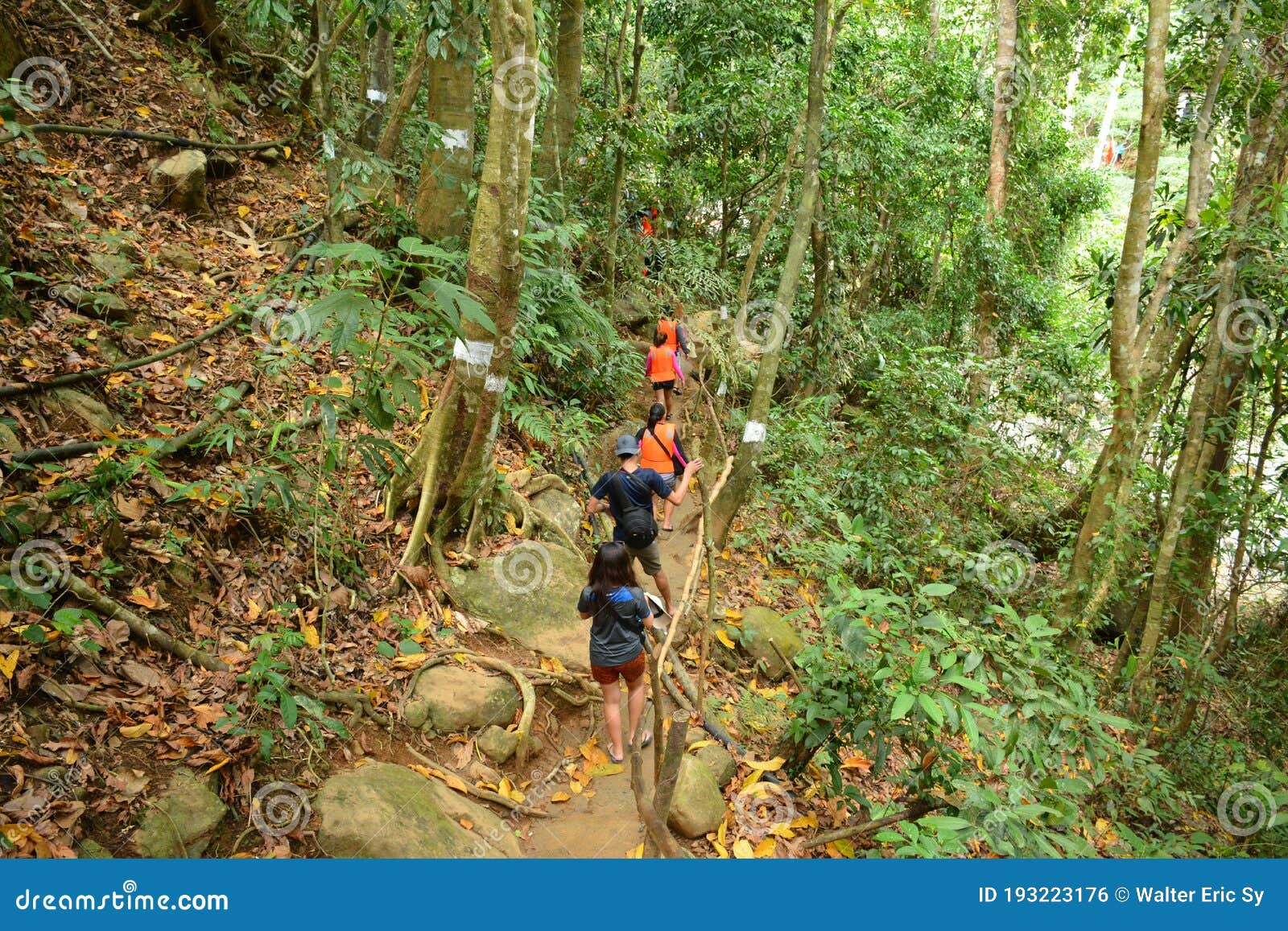 Tanawan Waterfalls Trail in Aurora, Philippines Editorial Photo - Image ...