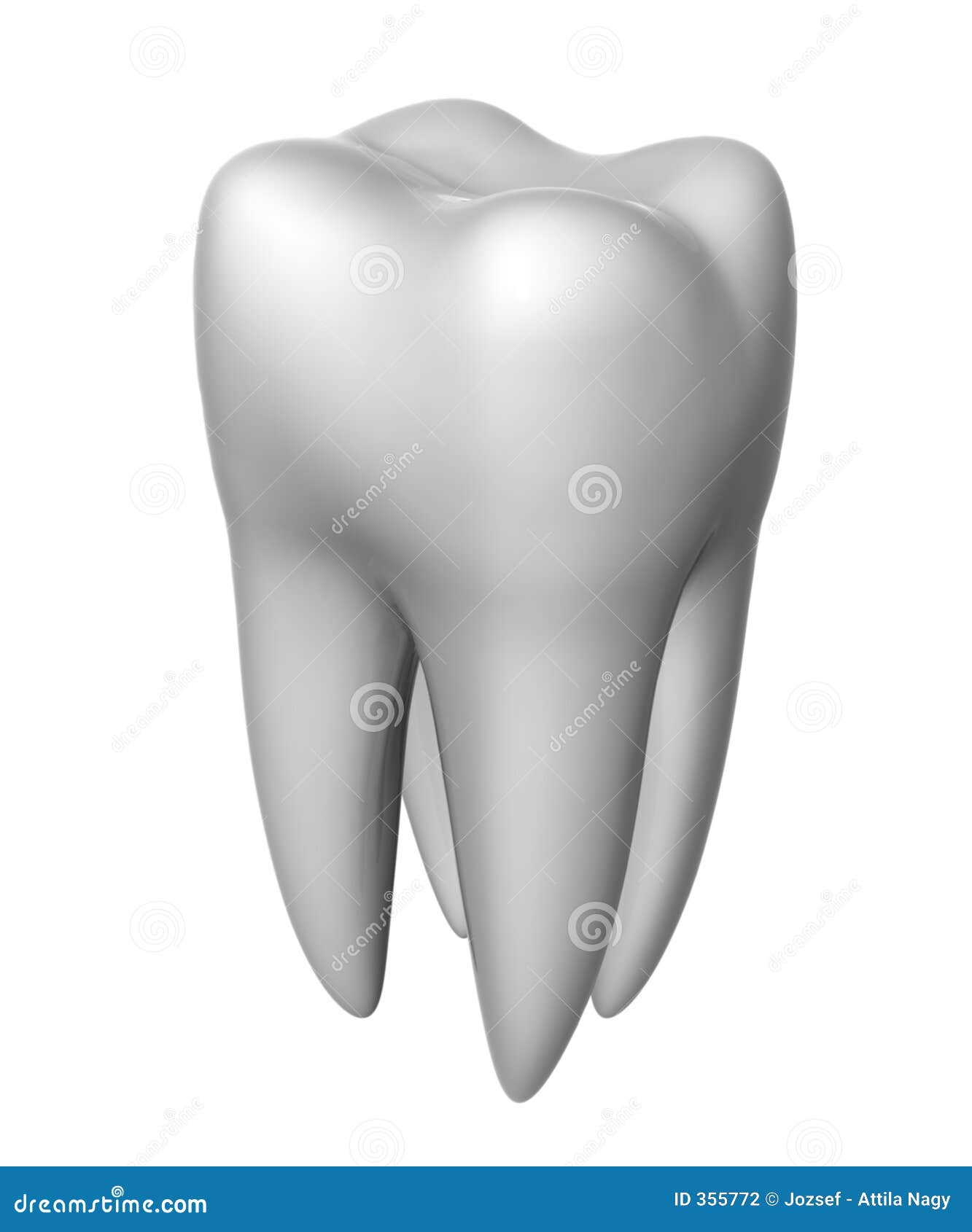 Tand stock illustratie. Illustration of tand, wortels, geïsoleerd - 355772