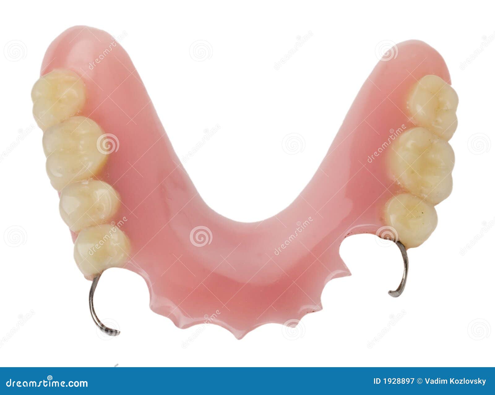Protese Parcial Removable Partial Prosthesis Acrylic