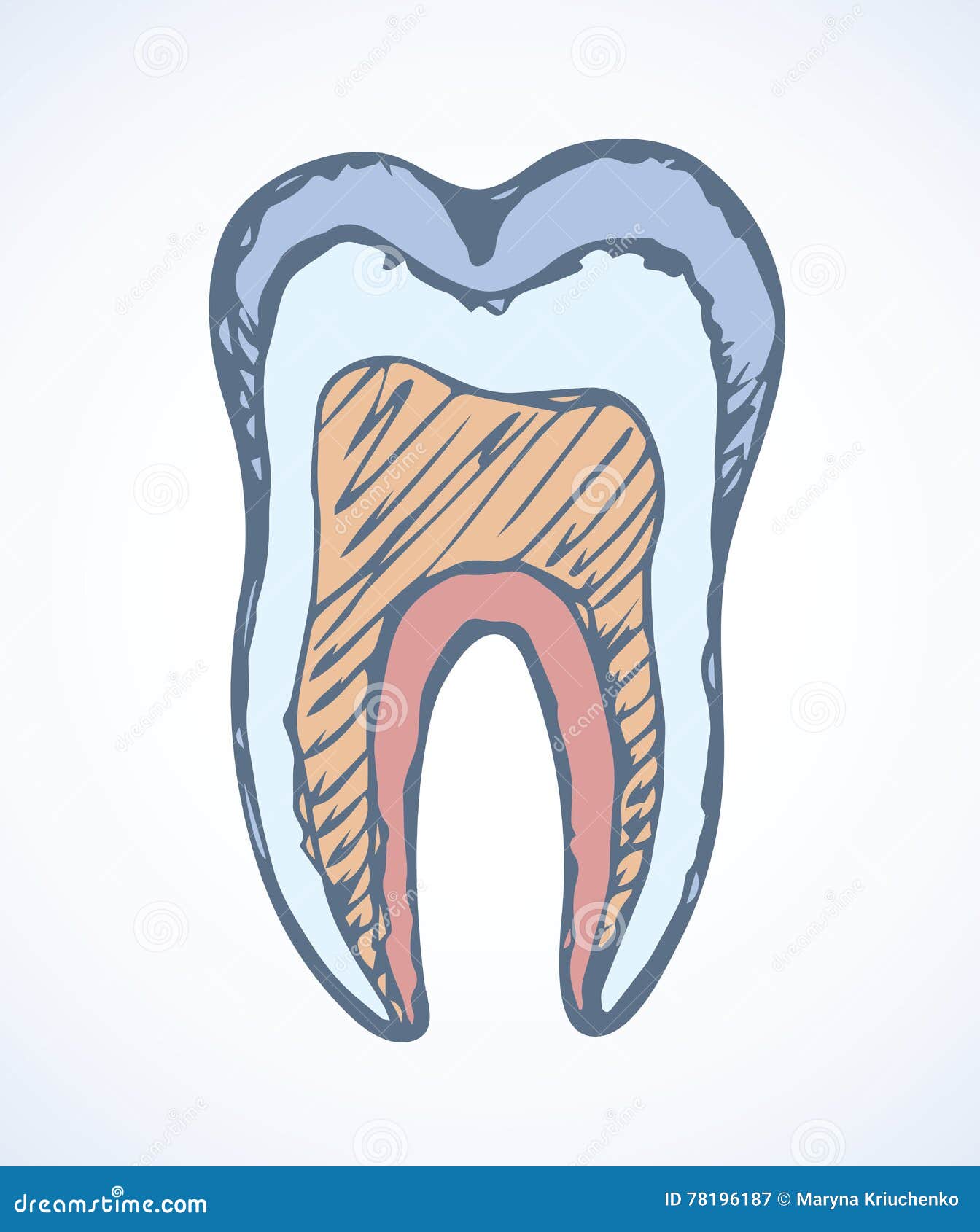 Tand Vector tekening vector illustratie. Illustration of zorg - 78196187