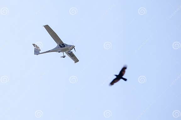 The tandem flight editorial stock image. Image of tandem - 64325864