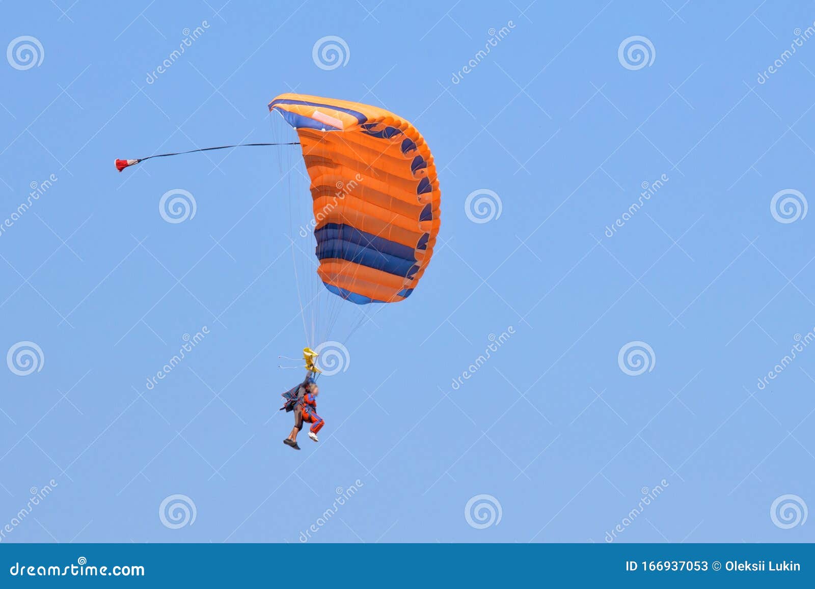 The Tandem Parachute Jump. Instructor and Student Fly Under the Dome of ...