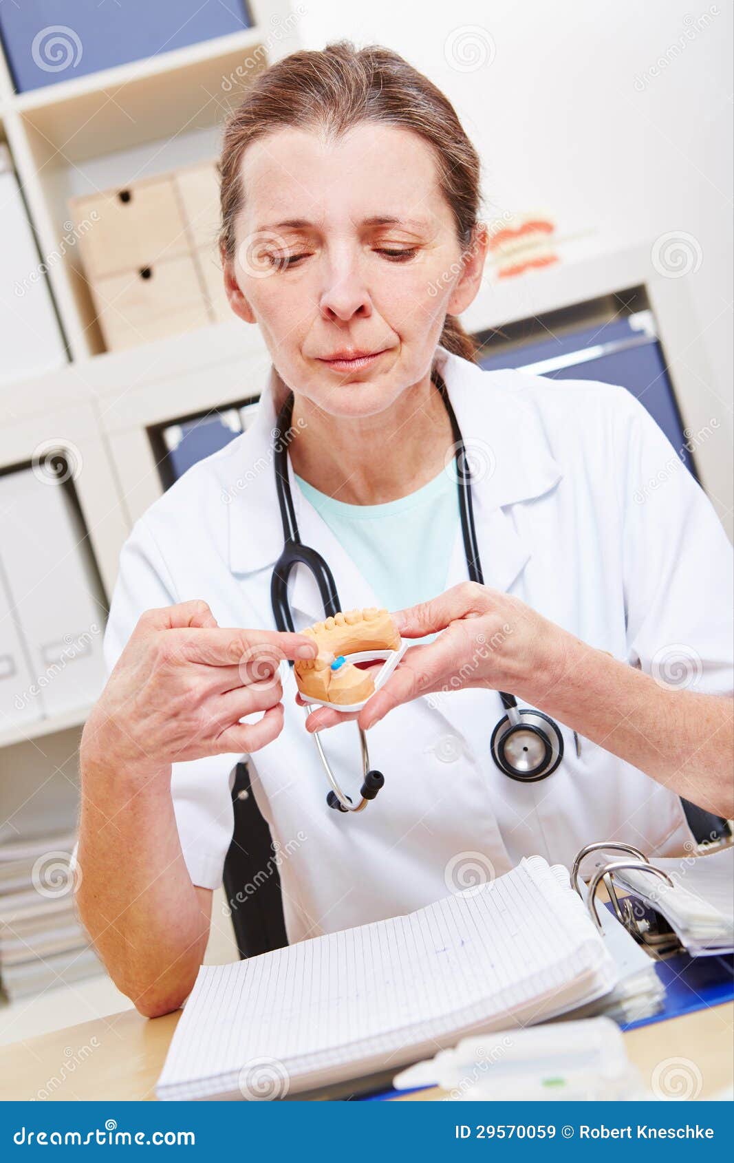 Tandtechnicus Die Gebit Tonen Stock Afbeelding - Image of gezondheid ...