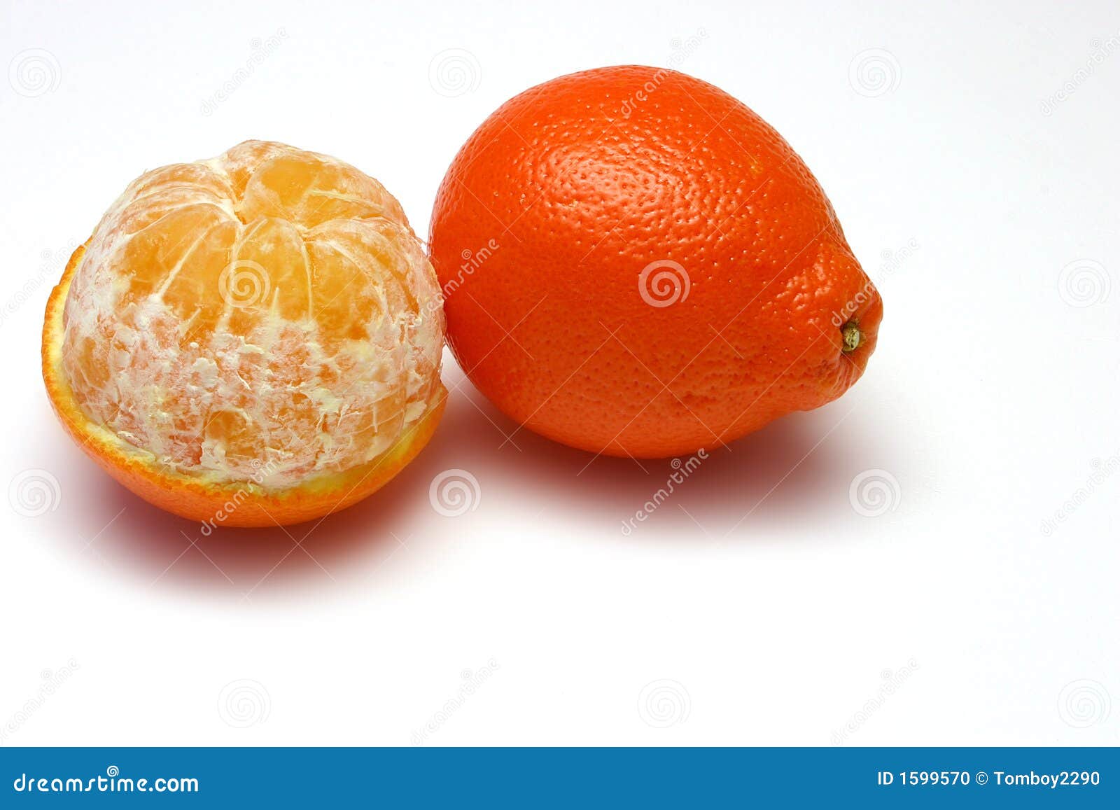 Tangelo stock photo. Image of fruit, citrus, hybrid, isolated - 1599570