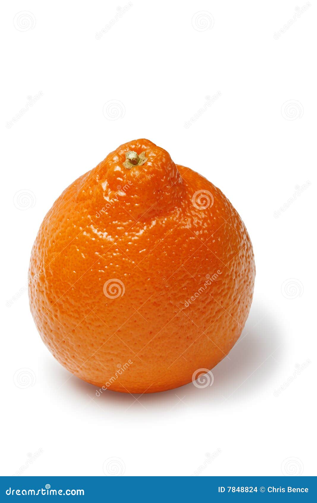 Tangelo stock photo. Image of food, citrus, juicy, snack - 7848824