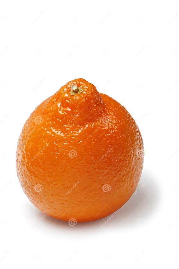 Tangelo stock photo. Image of food, citrus, juicy, snack - 7848824